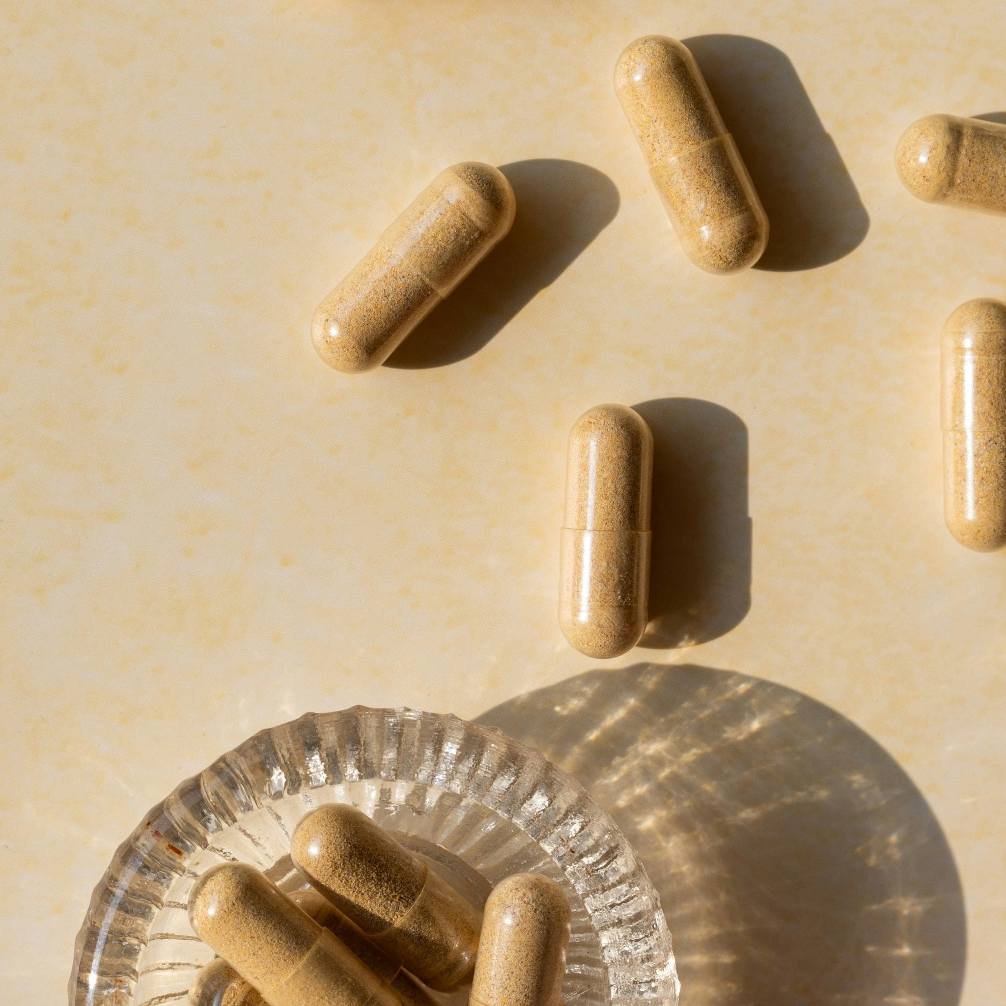 The Ancient Adaptogen Ashwagandha